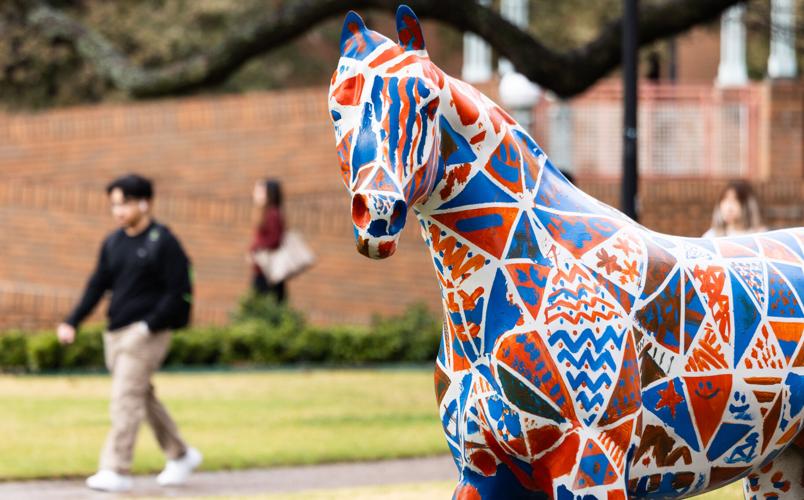 New UTA spirit horse committees aim to preserve legacy, campus ...
