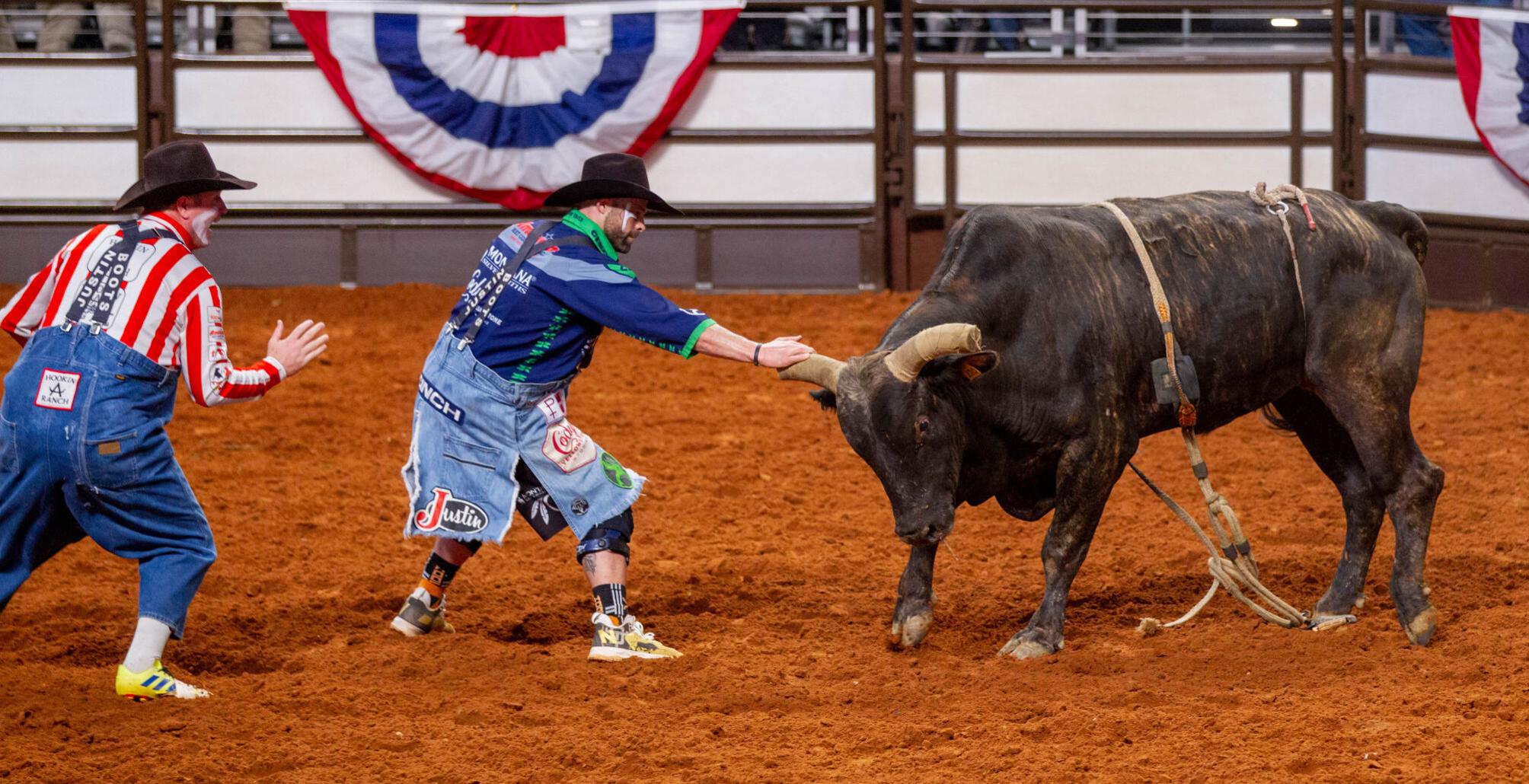 Born to ride: Bull riders and bullfighters share their passion for the ...