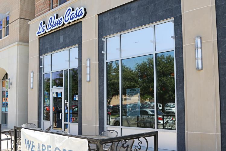 La Blue Casa will be all vegan by February | News | theshorthorn.com