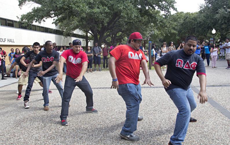 Stroll off strikes again | Gallery | theshorthorn.com