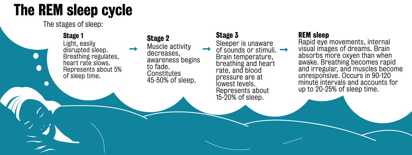 visit sleep cycle repeat