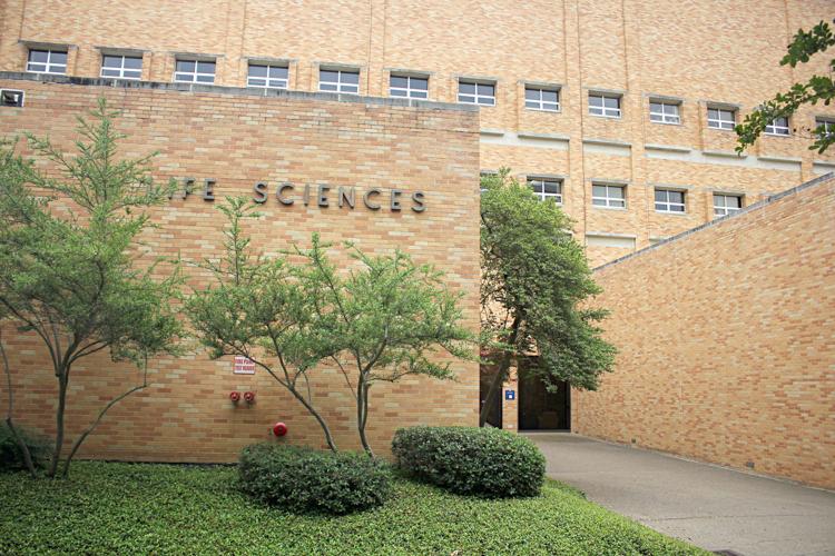 Campus construction to continue through summer | New Student Guide 2017 ...