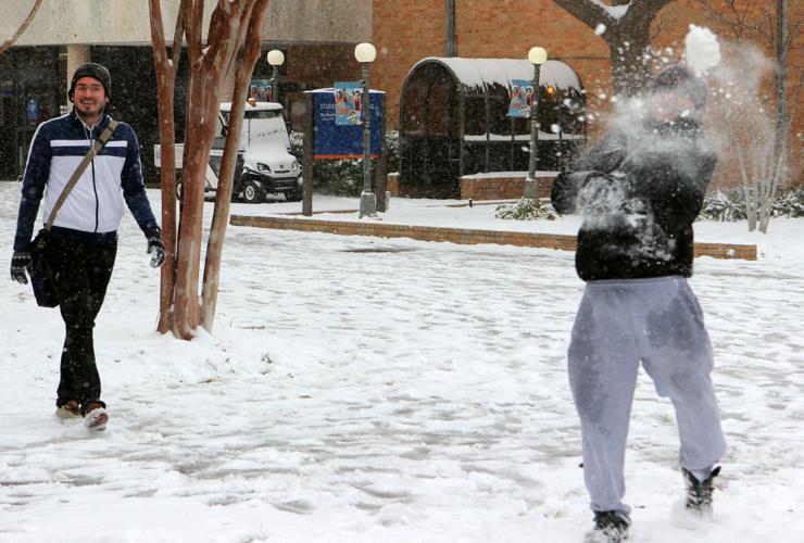 Snow day scenes | Gallery | theshorthorn.com