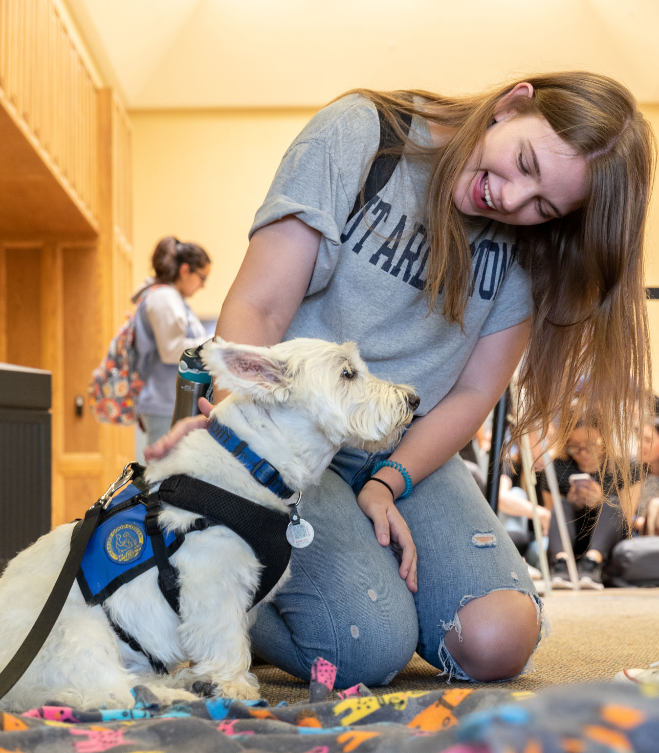 Photos: Therapy dogs spread paws-itivity at Tail Waggin' Wednesdays | Gallery | theshorthorn.com