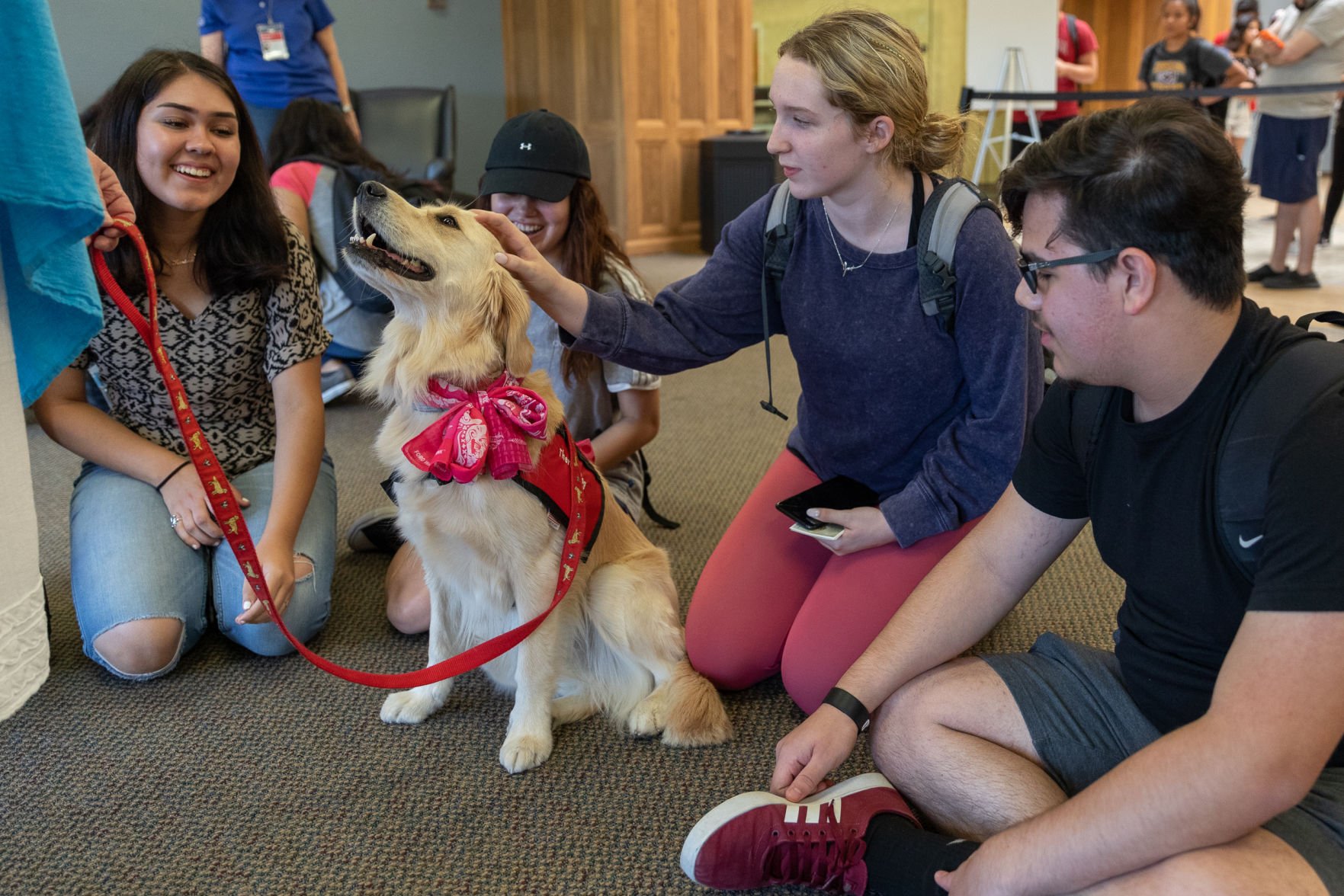 Photos: Therapy dogs spread paws-itivity at Tail Waggin' Wednesdays ...