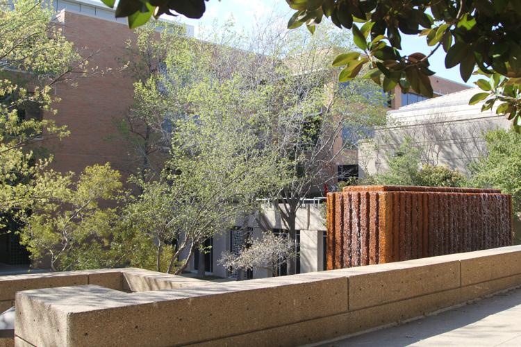School of Architecture collaborates to build nature trail | News ...