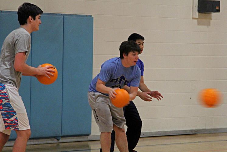 Swerve game | Gallery | theshorthorn.com