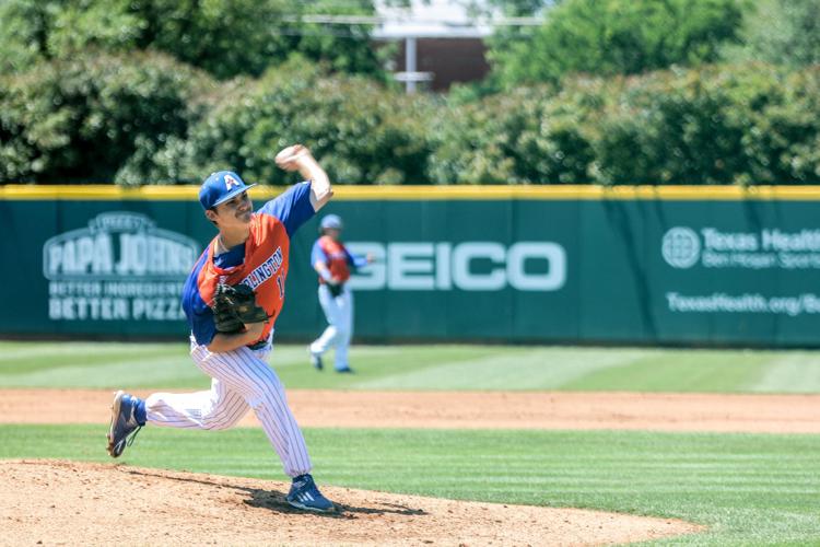 Bark in the Park brings together fans, dogs, baseball | Multimedia ...