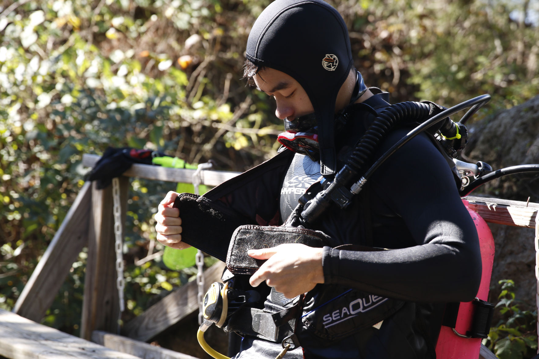 Photos: Students get certified during weekend scuba trips | Gallery ...