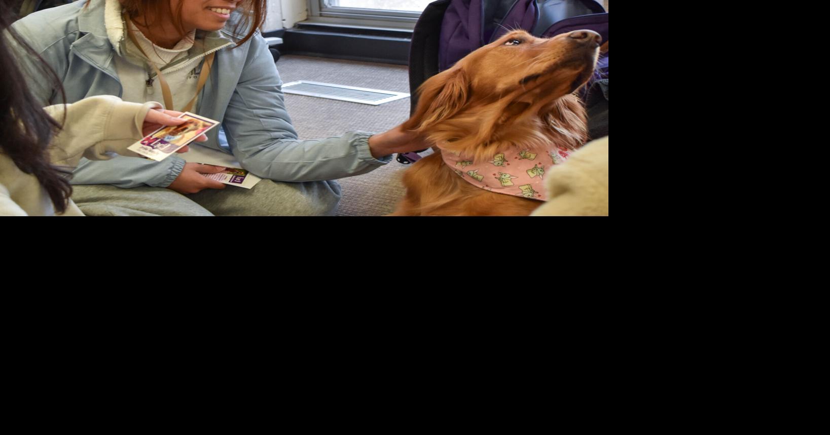 Canine companions help students unwind, relax during Doggy Days | News ...