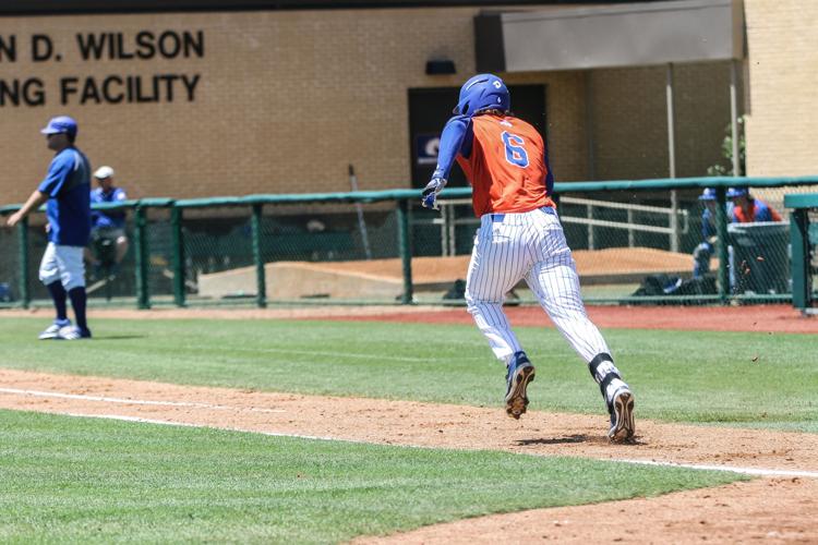 Bark in the Park brings together fans, dogs, baseball | Multimedia ...