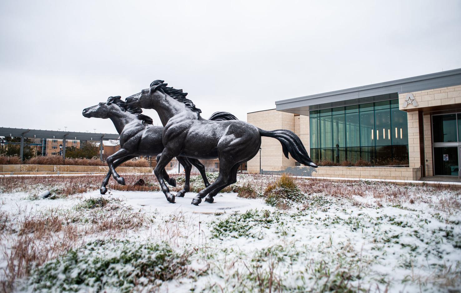 UTA announces delayed open for Tuesday | News | theshorthorn.com