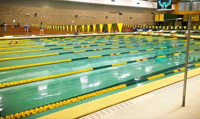Wayne State's swim and dive teams are making a splash | Mobile ...