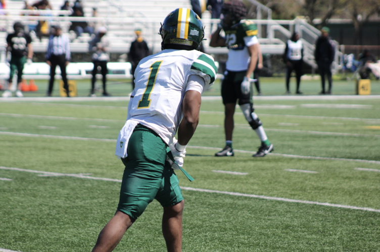 WSU football 2024 spring game | | thesouthend.wayne.edu