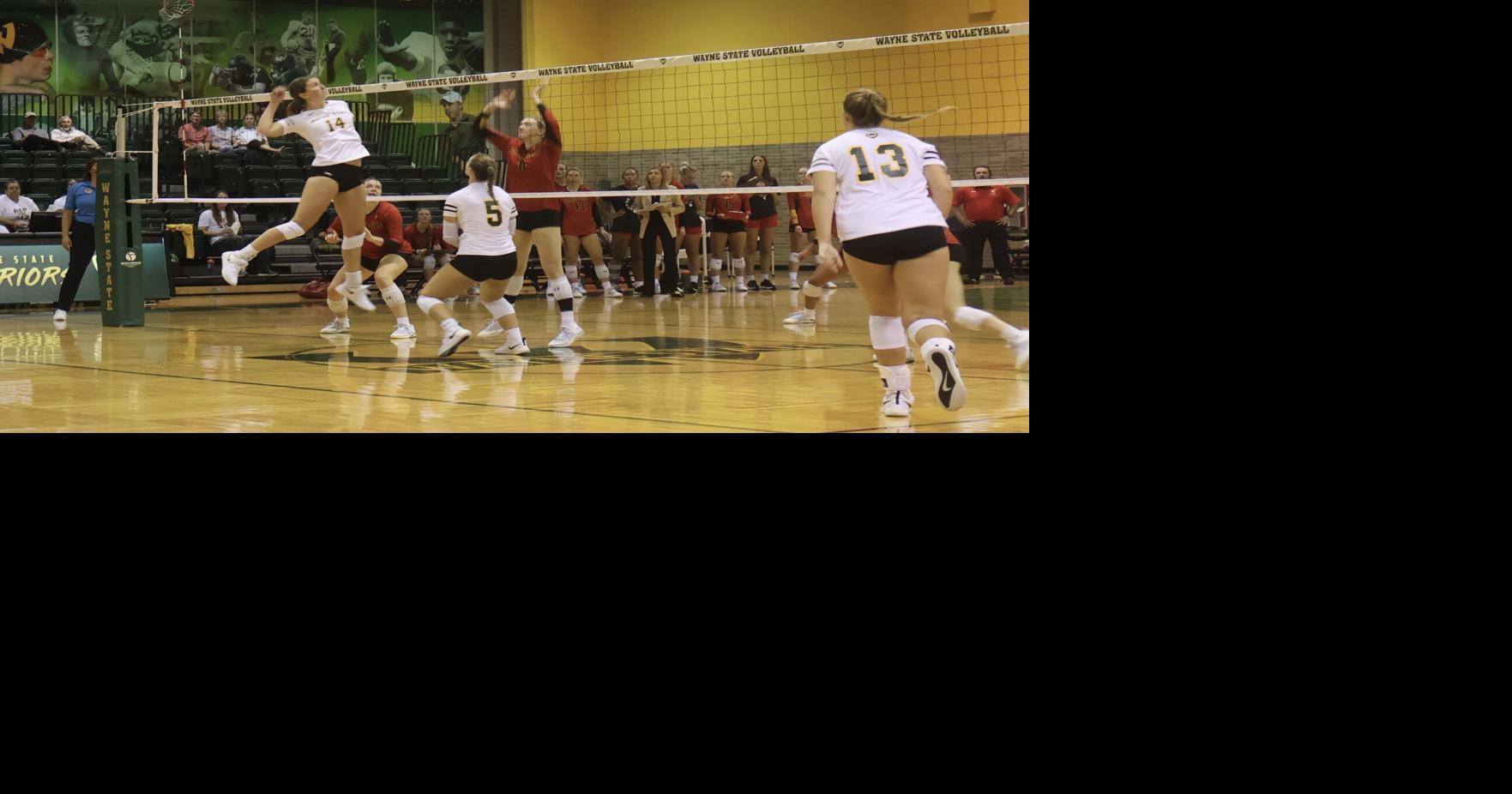 WSU falls to Ferris in home opener | Mobile | thesouthend.wayne.edu