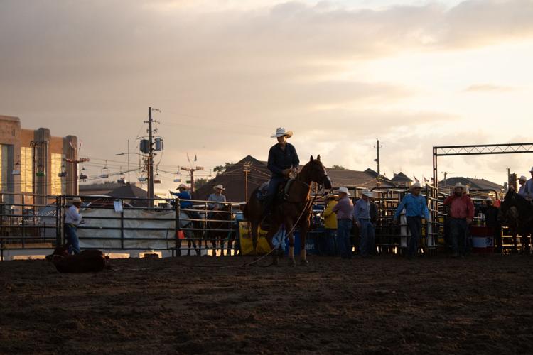 More photos from this weekend's state fair rodeo | Features ...