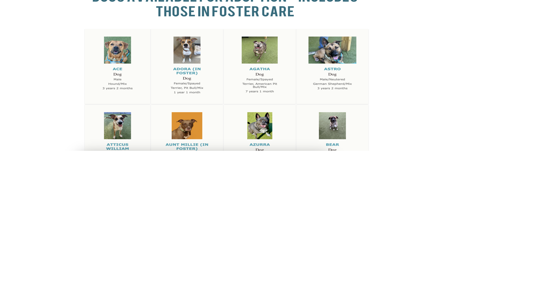 Screenshot Humane Society | | thestatehousefile.com