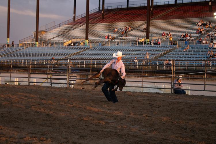 More photos from this weekend's state fair rodeo | Features ...