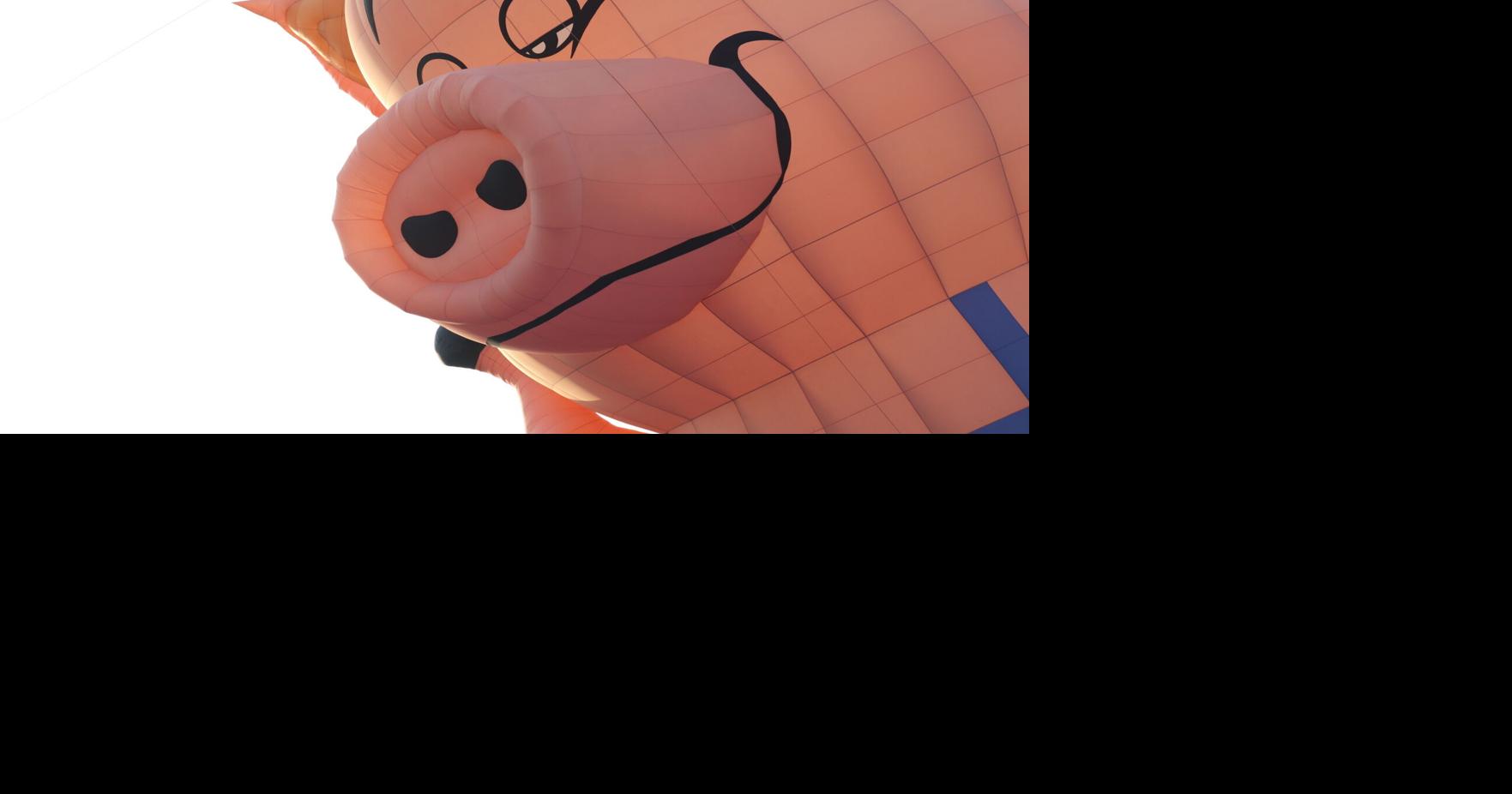 Video: Weather grounds state fair balloons, but Chris P. Bacon cheers ...