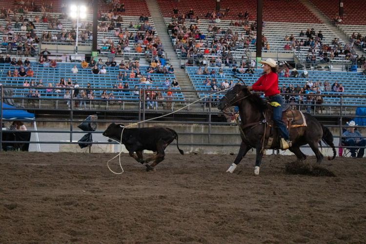 More photos from this weekend's state fair rodeo | Features ...