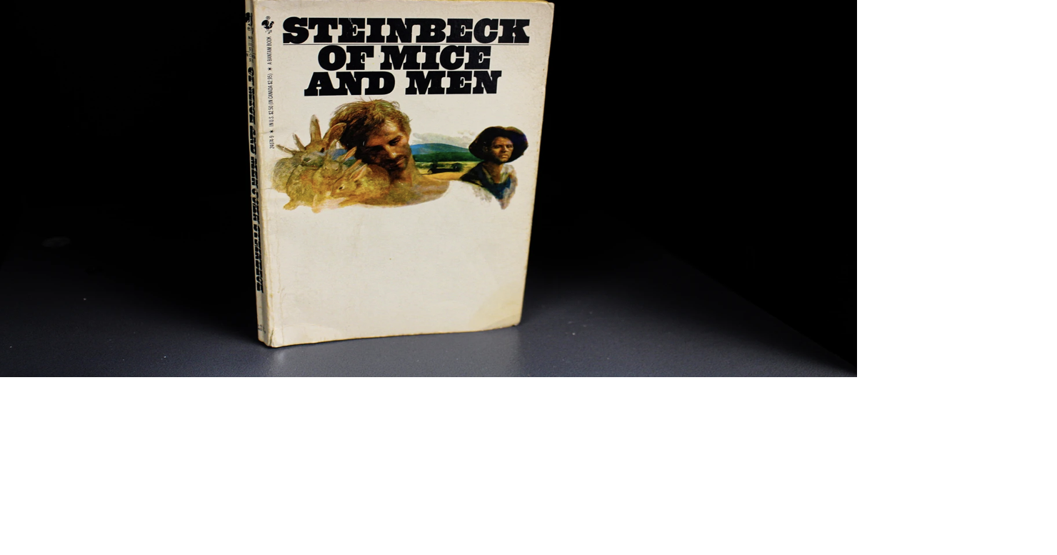 Banned books through history | | thestatehousefile.com