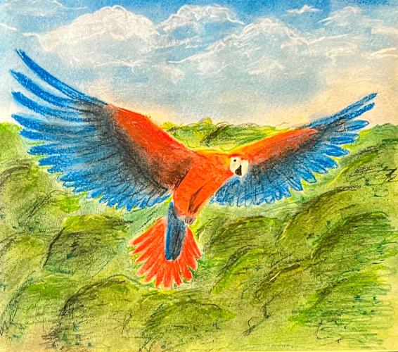 Life through young eyes: Student art at the Statehouse for Youth Art ...