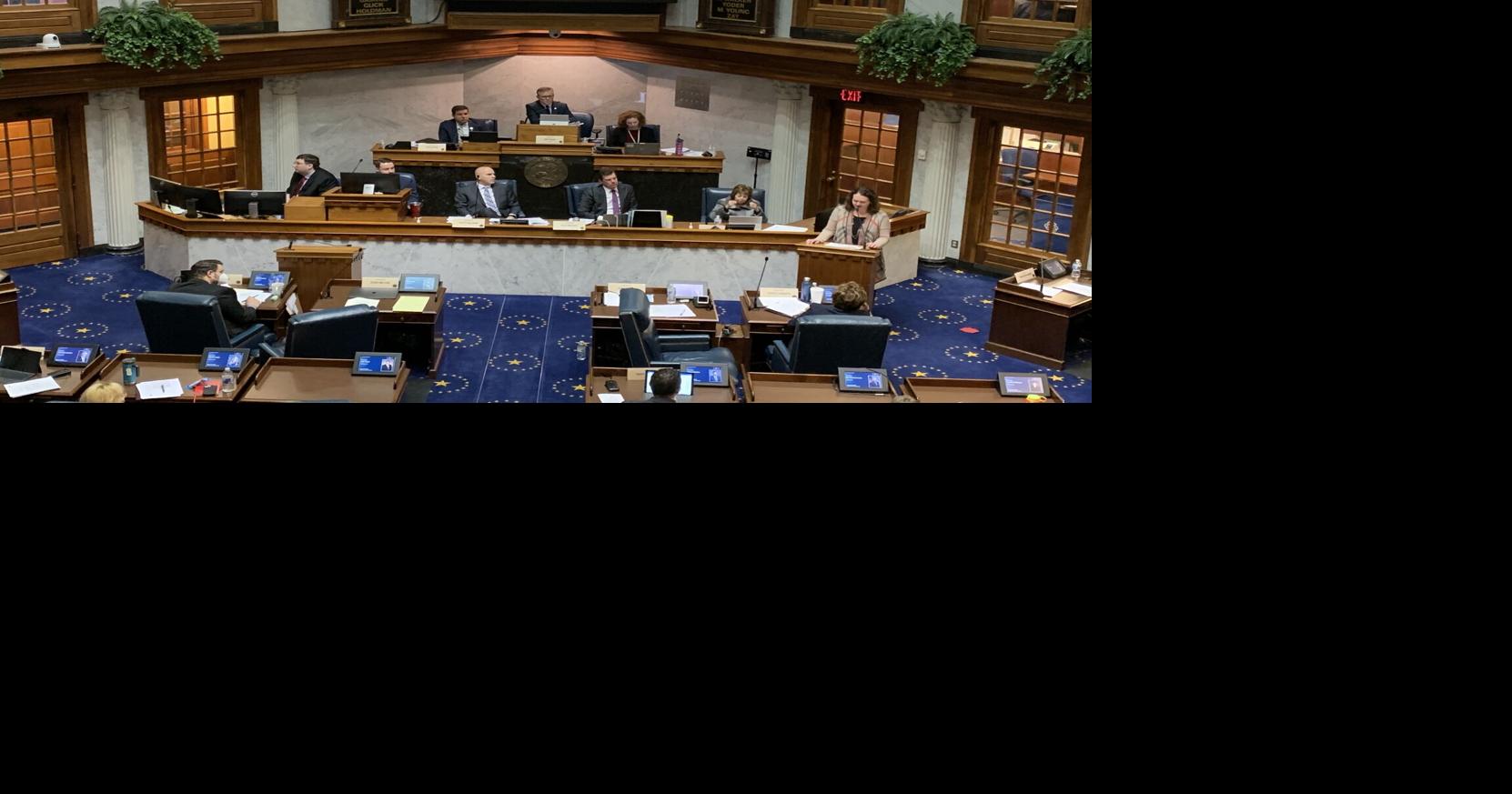 Senate education committee hears conflicting testimony over who should ...