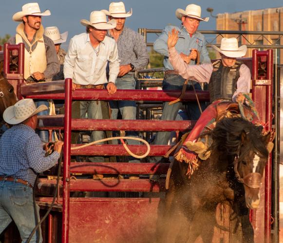 State fair rodeo riders live every kid's cowboy dreams | Features ...