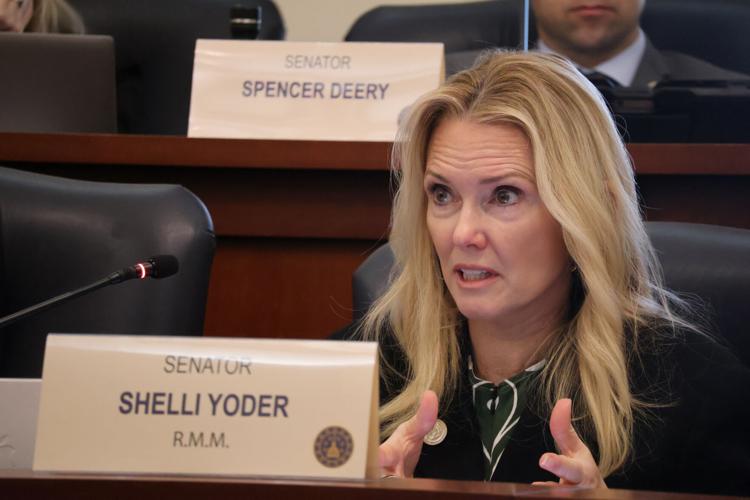 Sens. Jackson and Charbonneau hope to make post-birth care easier for ...