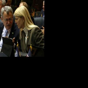 Meet Rep. Sharon Negele, bringing finance experience to the Statehouse ...