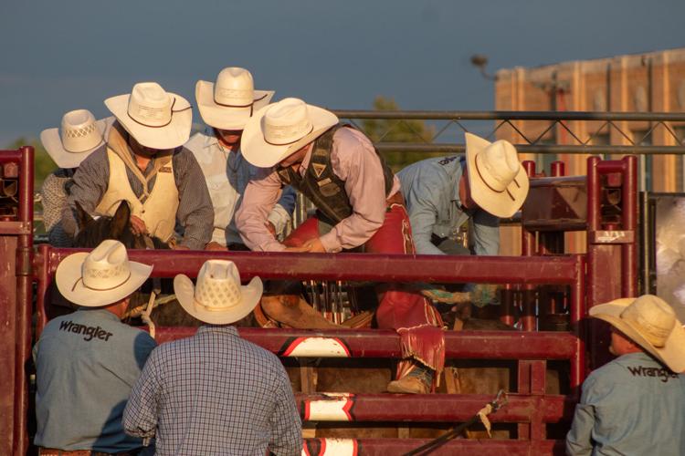 State fair rodeo riders live every kid's cowboy dreams | Features ...