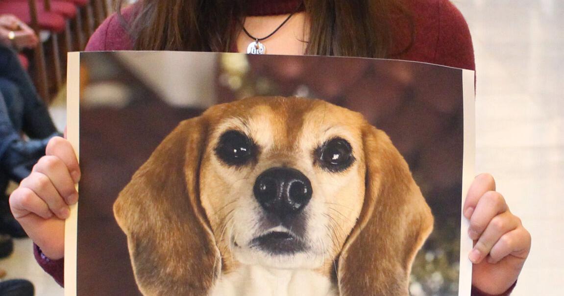 Students take a stand for retired research animals | Politics ...
