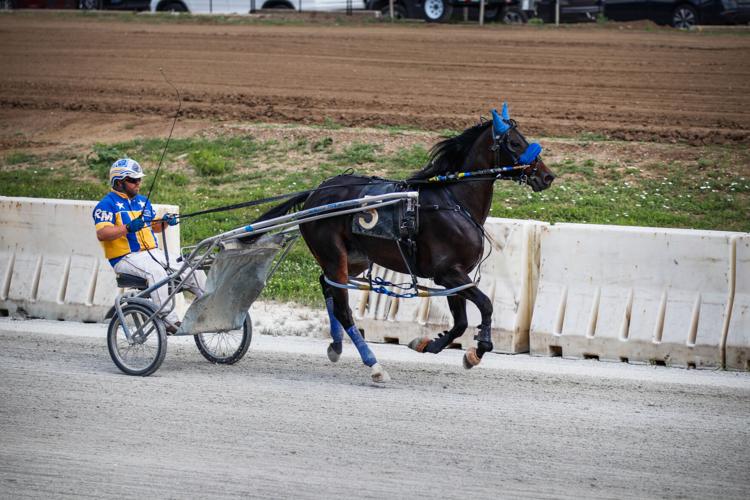 Rock My Memory, Good As You, Fifty to Win—harness racers at the state fair | Features ...