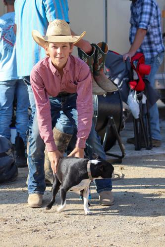 State fair rodeo: 'America’s greatest spectator sport, and we get to ...