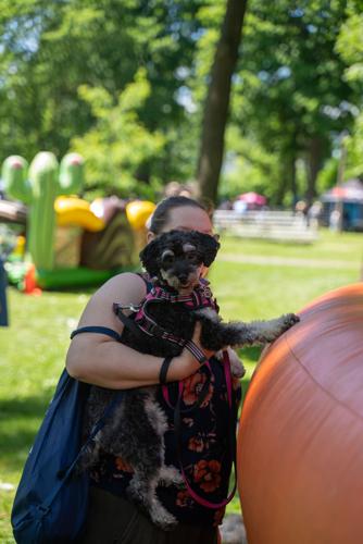 Suburban Family and Pet Day Photo Gallery | | thesuburban.com
