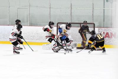 Pierrefonds charms Vipers for U11 AA win | Sports | thesuburban.com