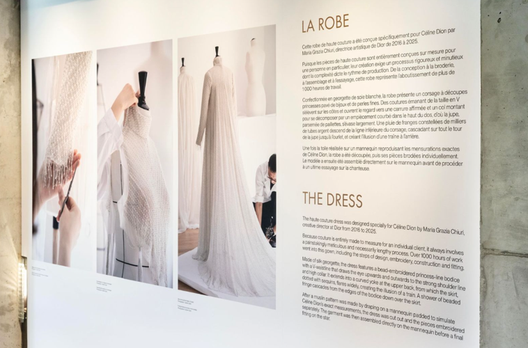 Dazzling Dior dress worn by Dion on display | Arts | thesuburban.com