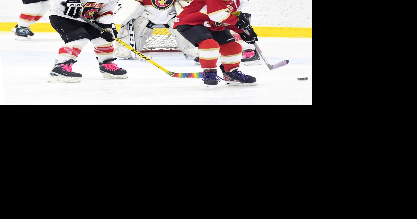 Hockey Day in Cote St. Luc scores on all fronts | Sports | thesuburban.com
