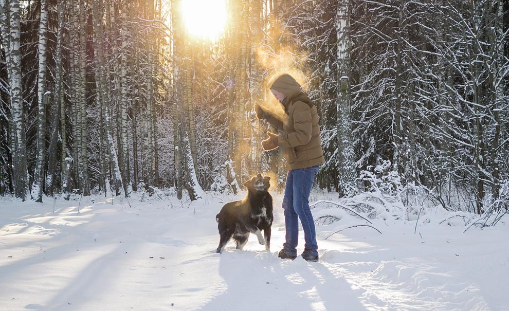 The first retreat for dog owners in Québec | Pets | thesuburban.com