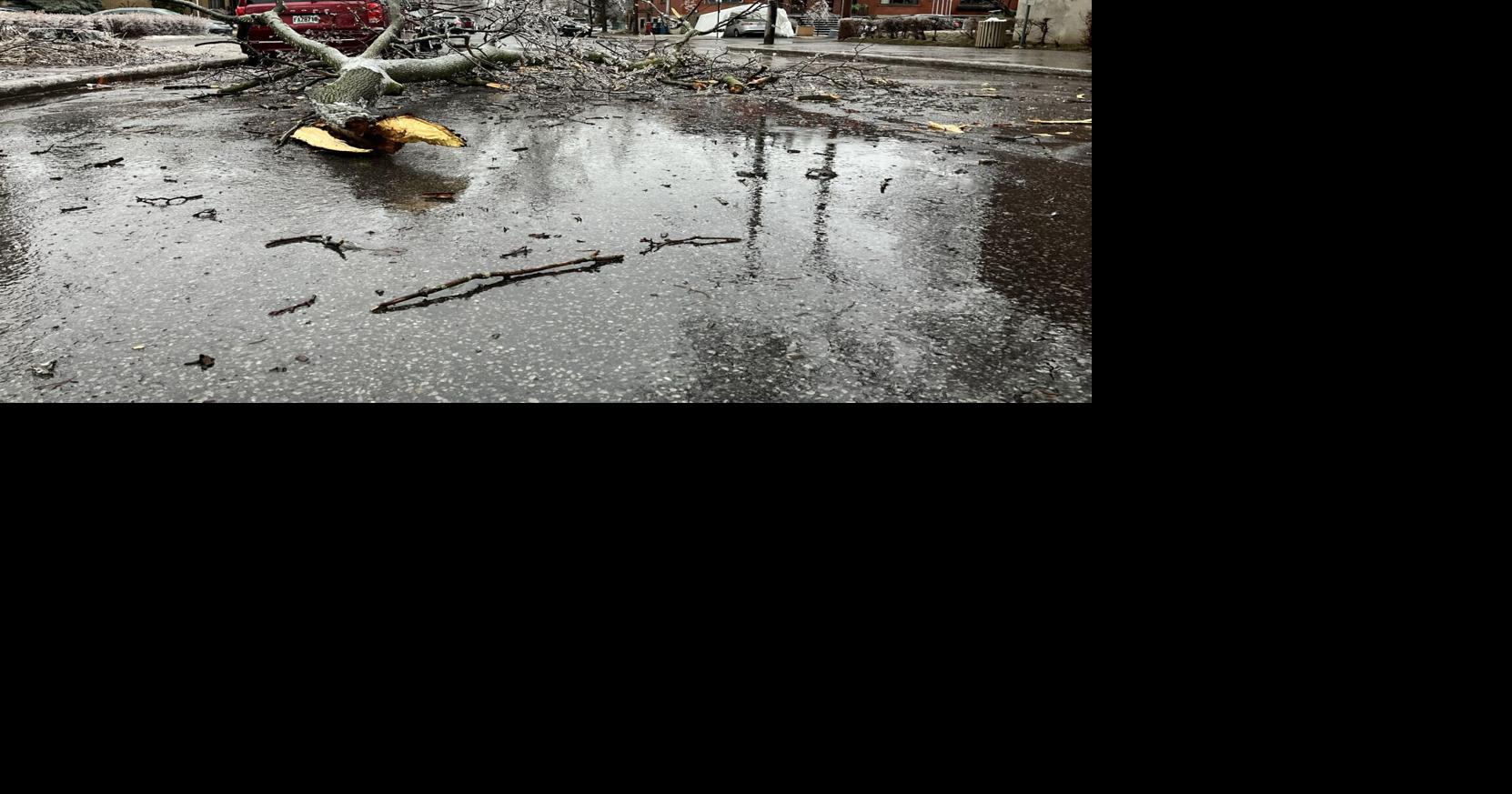 Hydro plan to cut outages might help CDN/NDG | City News | thesuburban.com