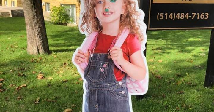 Anti-Semitic graffiti on school safety sign sparks outrage in CSL ...