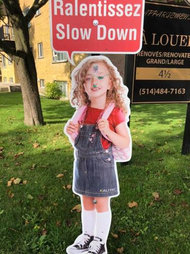 Anti-Semitic graffiti on school safety sign sparks outrage in CSL ...