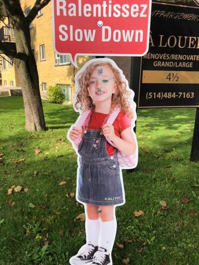 Anti-Semitic graffiti on school safety sign sparks outrage in CSL ...