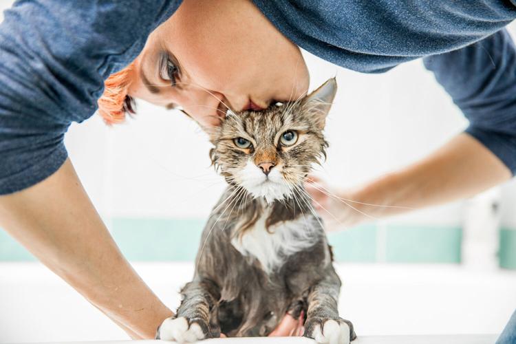 Judie Amyot: Grooming the fluff | Judie Amyot Lifes Like That ...