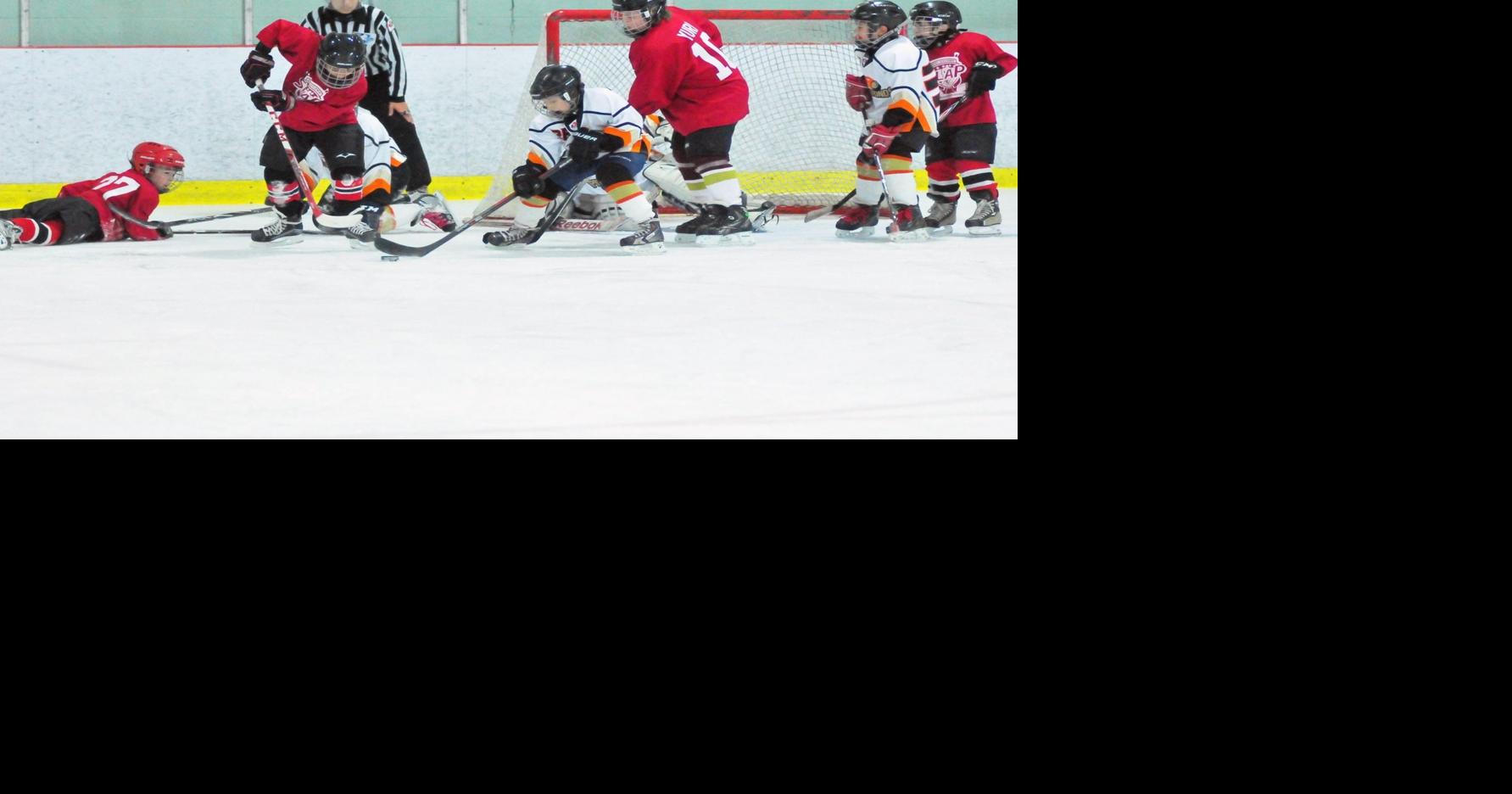 SLAP Hockey road trips to Pierrefonds | Sports | thesuburban.com