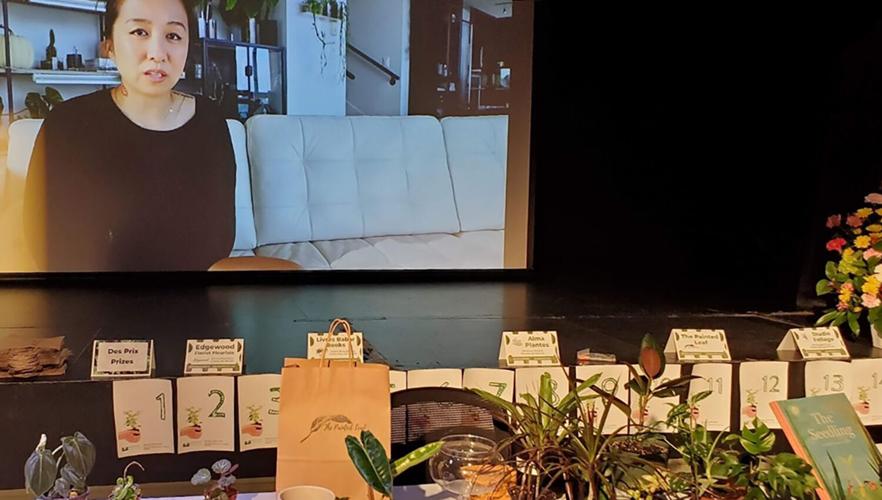You can turn your house into a jungle: Autumn houseplant swap at the ...
