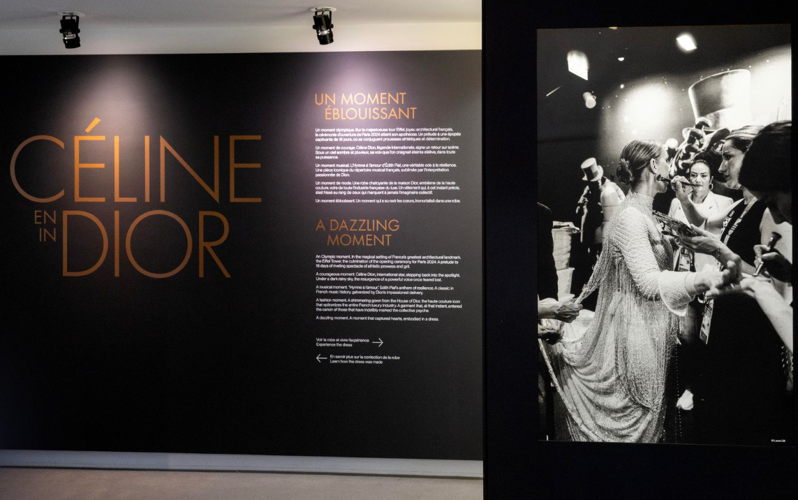 Dazzling Dior dress worn by Dion on display | Arts | thesuburban.com