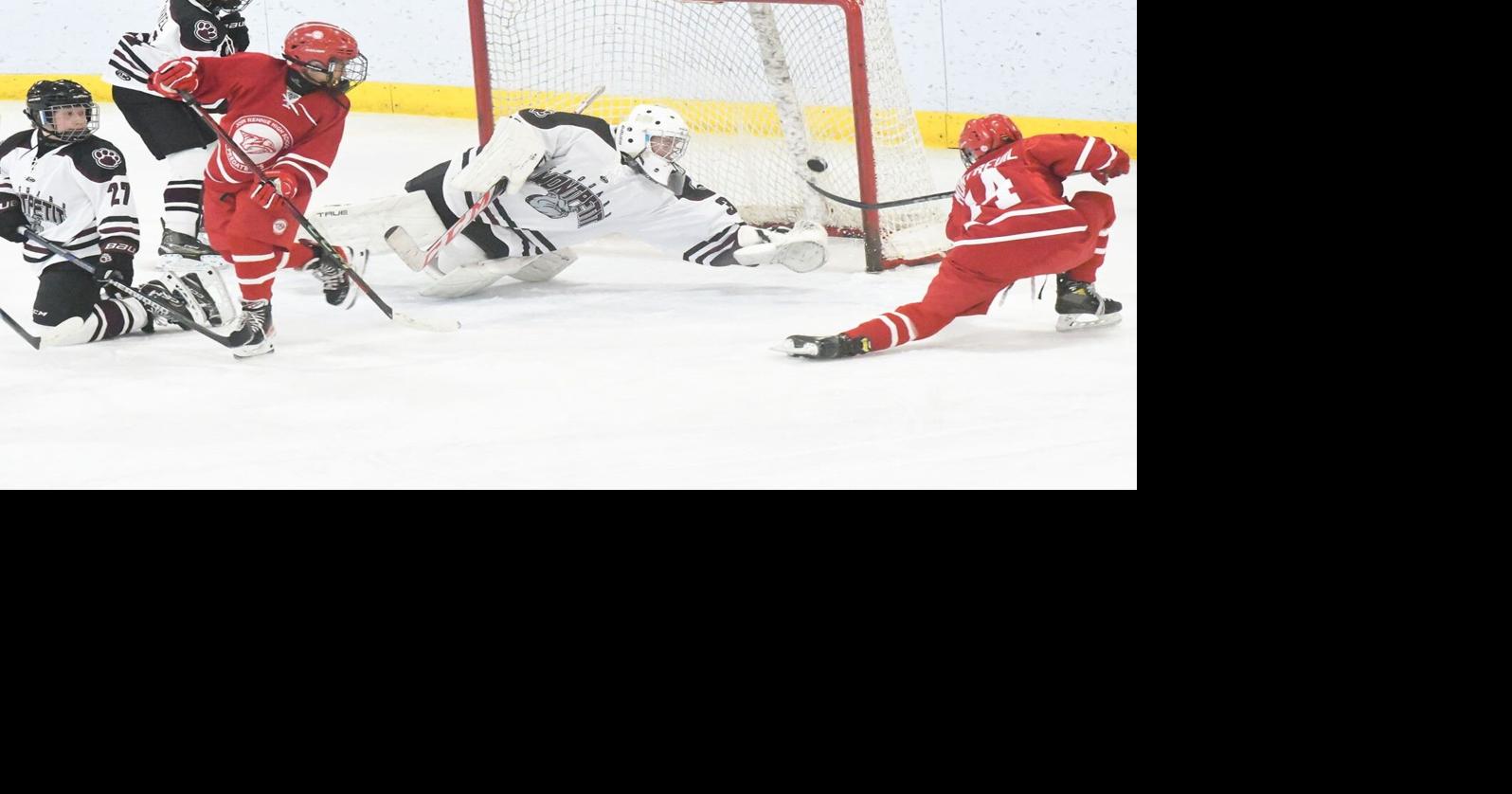 Predators power past Bulldogs | Sports | thesuburban.com