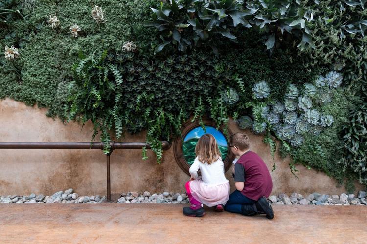 Delightfully odd | Fyi | thesuburban.com