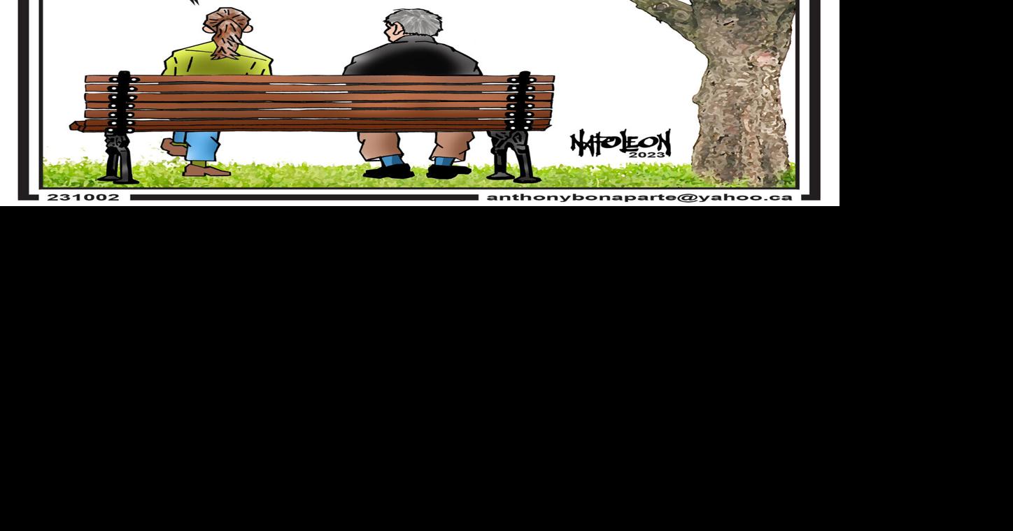 Napoleon’s Cartoon – Housing Crisis | Editorial Cartoons | thesuburban.com